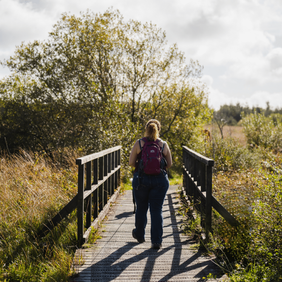 Parc Slip Nature Reserve